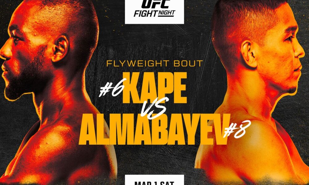 Список участников турнира UFC Fight Night 253