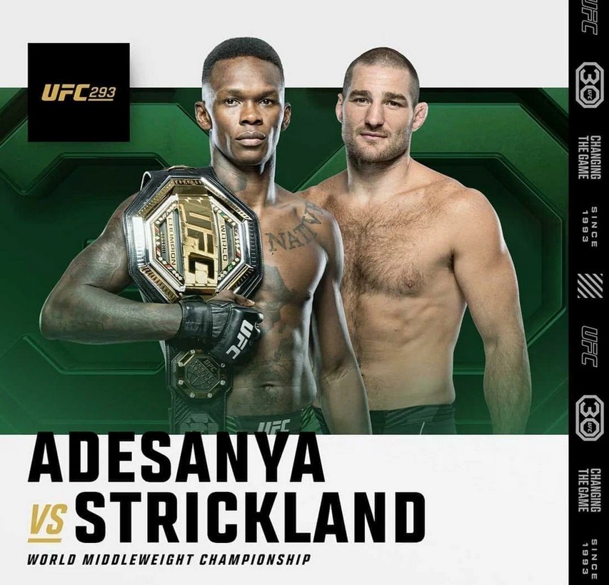 Список участников турнира UFC 293